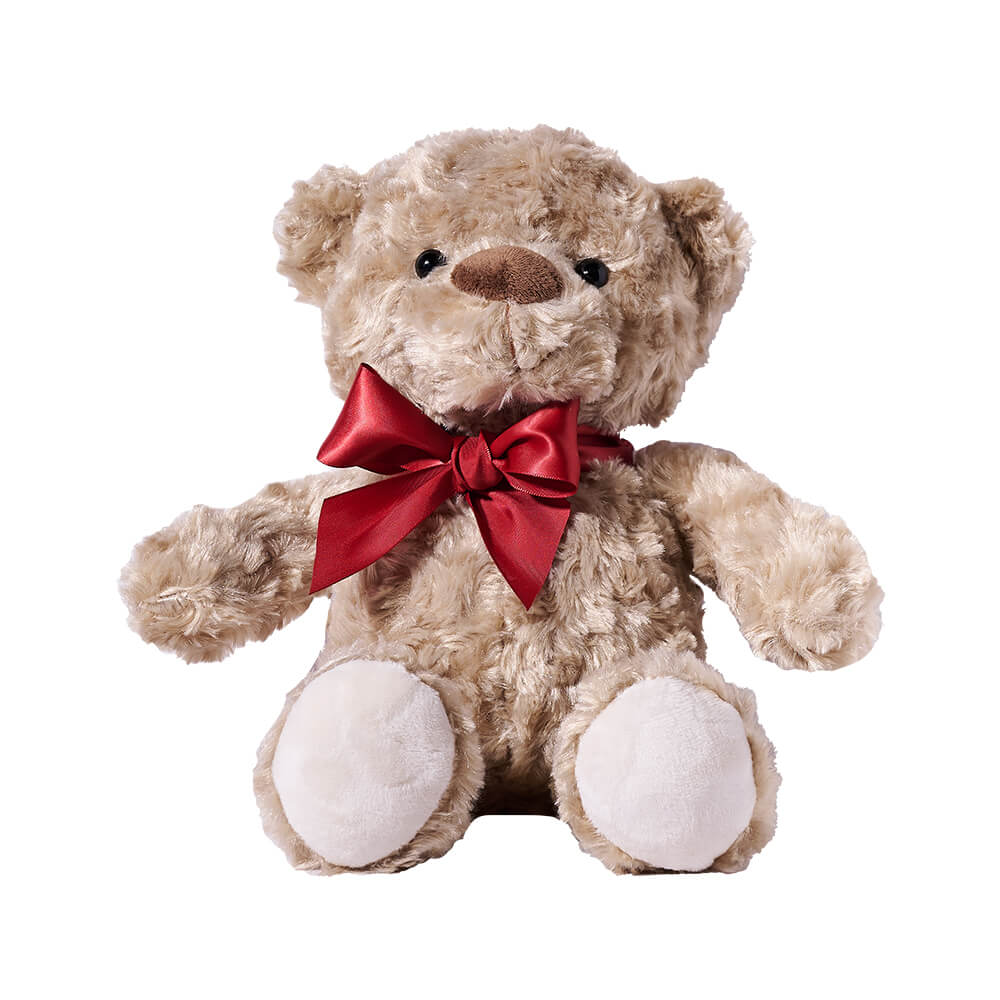 Canada Day Bear